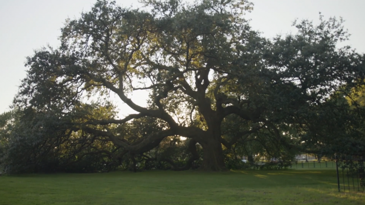 For Students: Freedom's Fortress • New American History