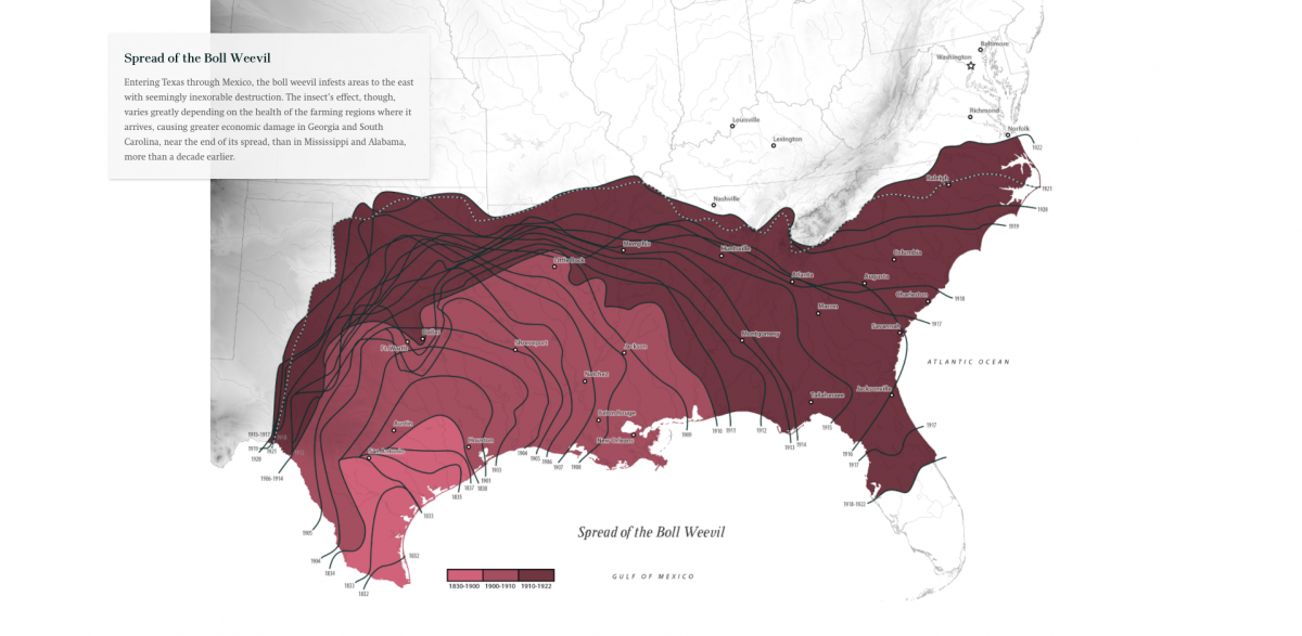 Southern Journey Two • New American History